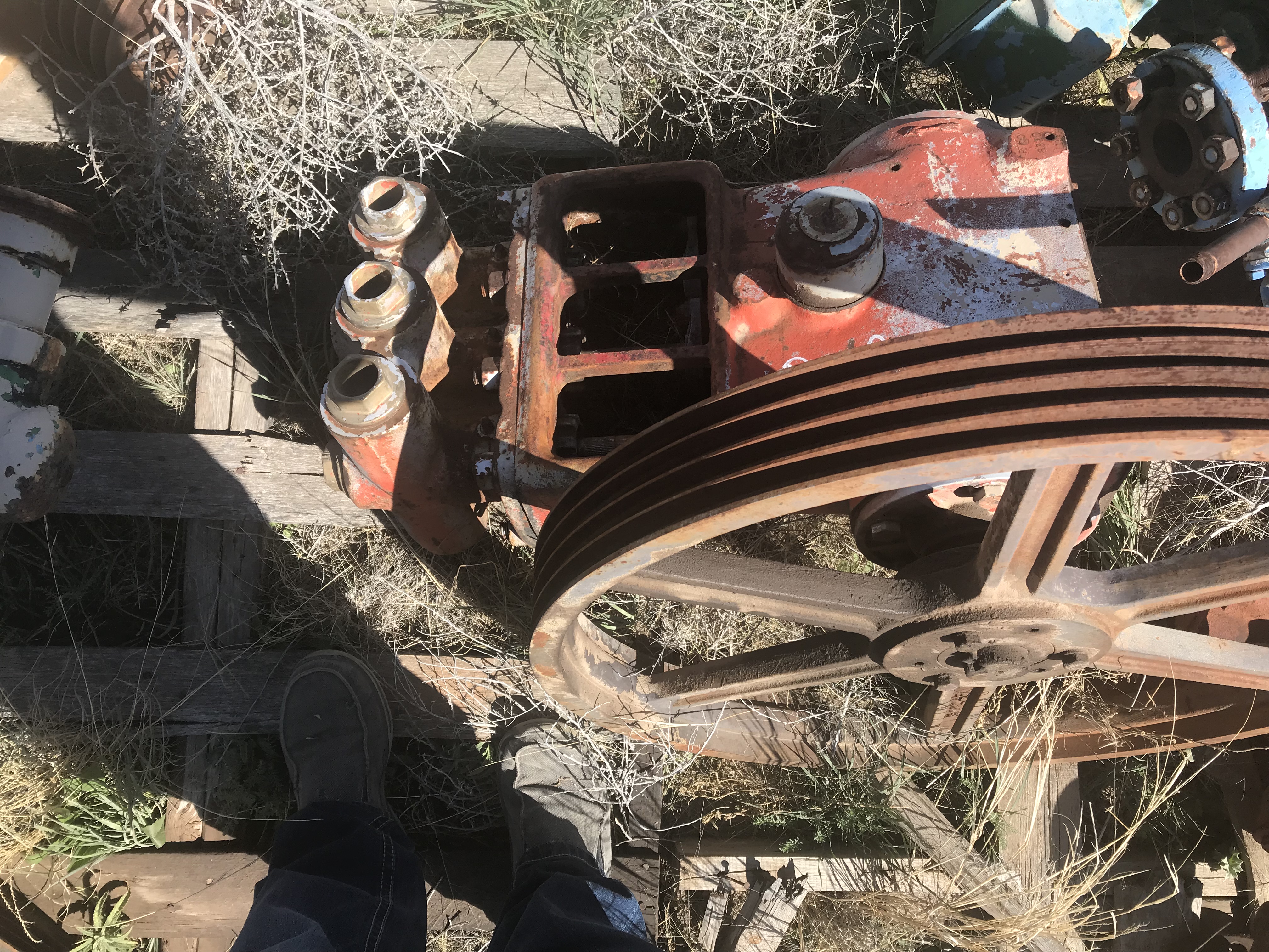 P200A wheatley | Replicate Pump