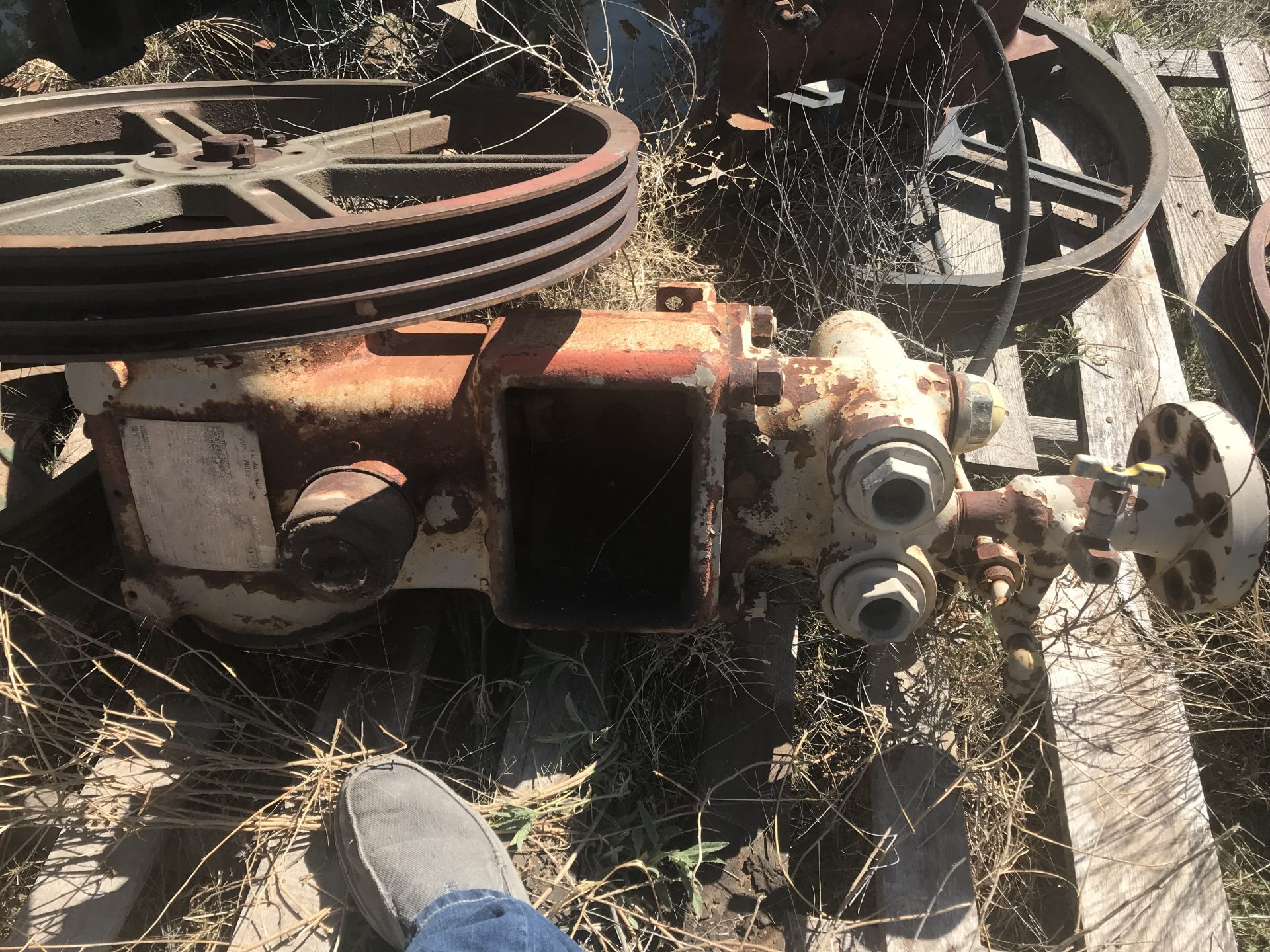 P100A wheatley | Replicate Pump