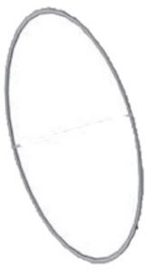 Gasket, Casing | Replicate Pump